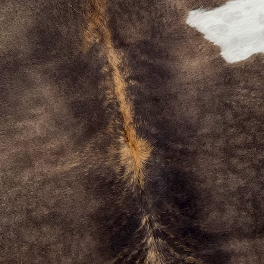 Brown and White Cowhides | Superior Quality — Superior Hides