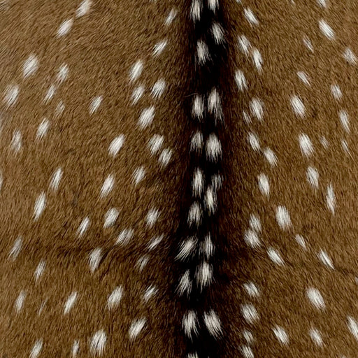 Products — Superior Hides